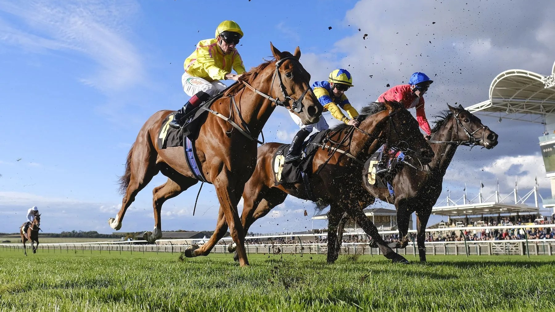 Local attractions – The Courtyard Dullingham Newmarket